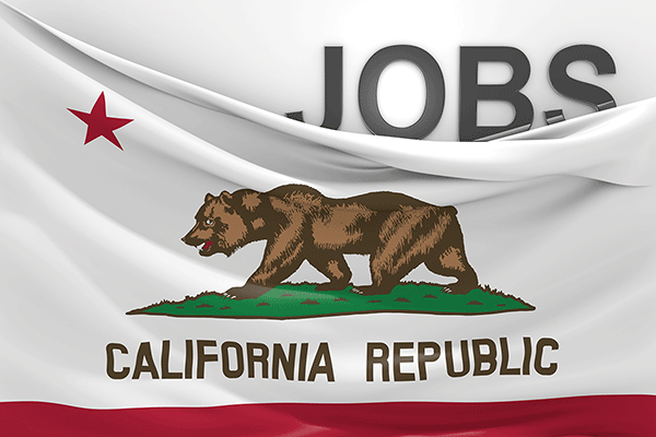 New State Council Will Focus on Job Creation Across All Regions ...