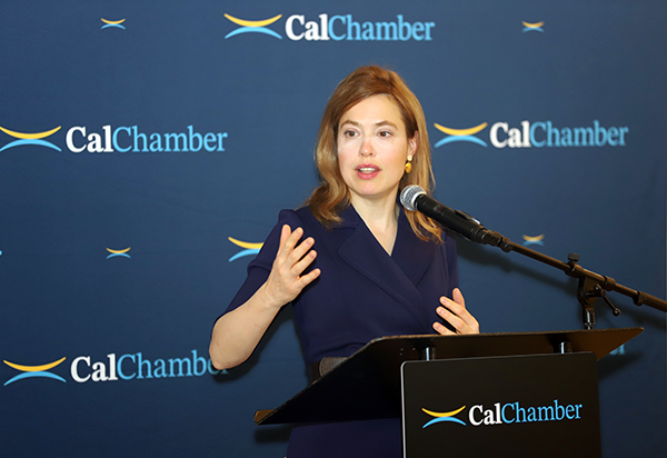 California Connections a Key in Transition to Reinventing Transatlantic ...